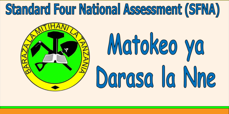 Matokeo ya Darasa la Nne 2025: Check SFNA Results Here (Official Link ...